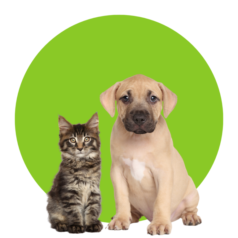 Lake Oconee Humane Society (LOHS)