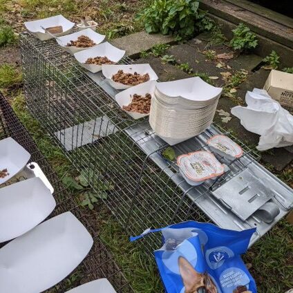 Trap, Neuter, Return (TNR) - Lake Oconee Humane Society